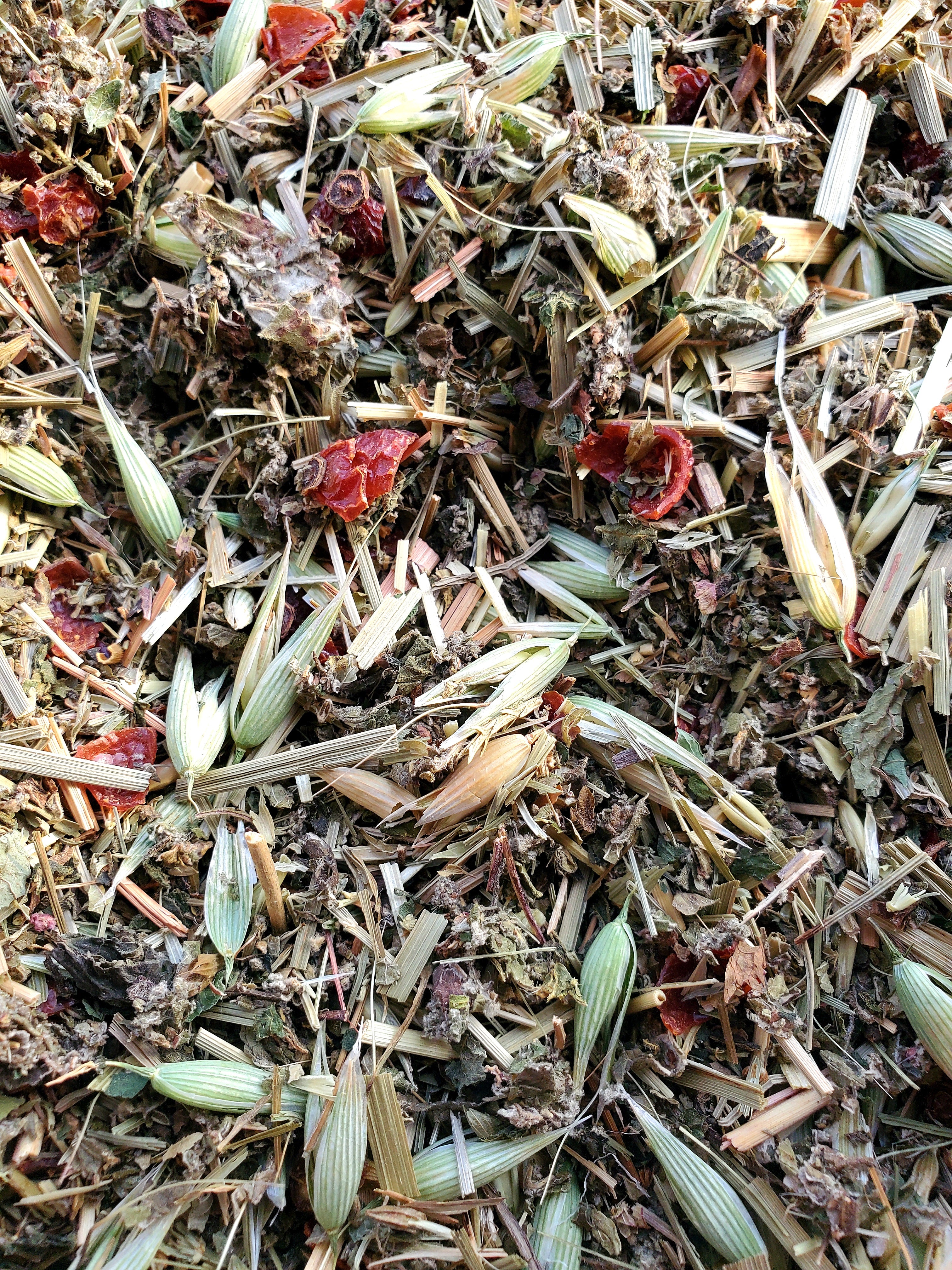 Herbal Tea: Growth, Strength & Recovery (Calcium & Nutrient Rich ...
